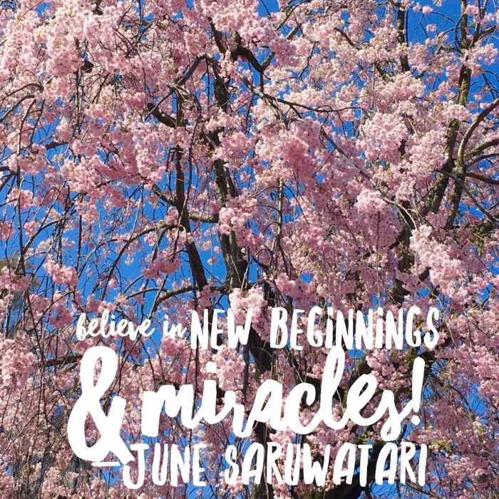 new beginnings. - June Saruwatari : June Saruwatari